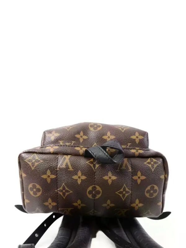 LOUIS VUITTON Palm Springs Monogram Backpack - Brown