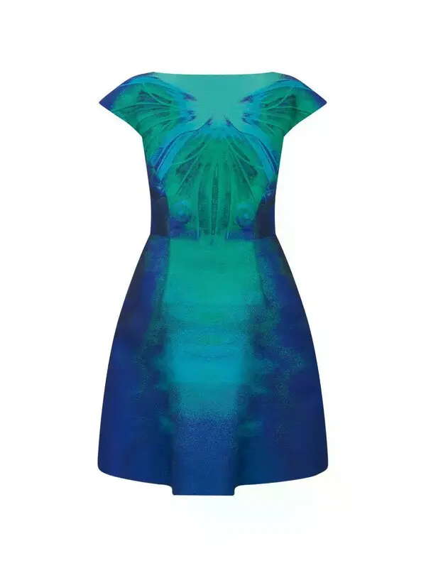 Alberta Ferretti Printed Trapeze Mini Dress