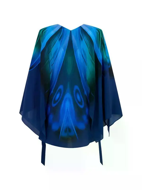 Alberta Ferretti V-neck Butterfly Print Silk Chiffon Blouse - Blue