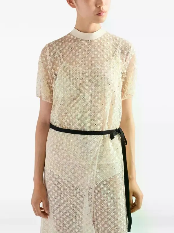 Prada Embroidered Lace Slip Dress