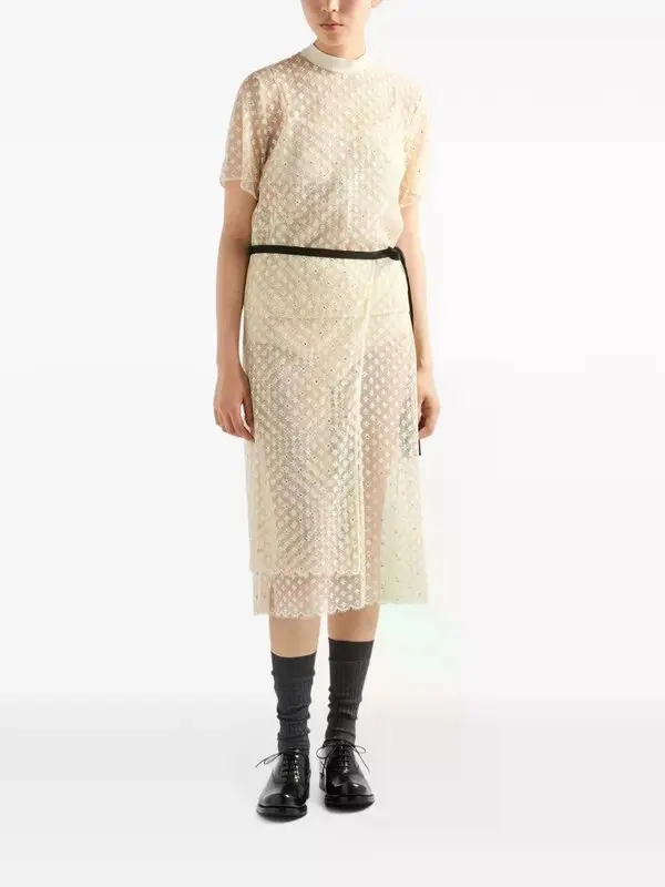 Prada Embroidered Lace Slip Dress - Beige
