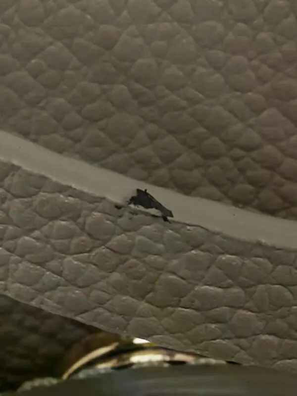 Polene Numéro Un Micro Leather Tote Bag