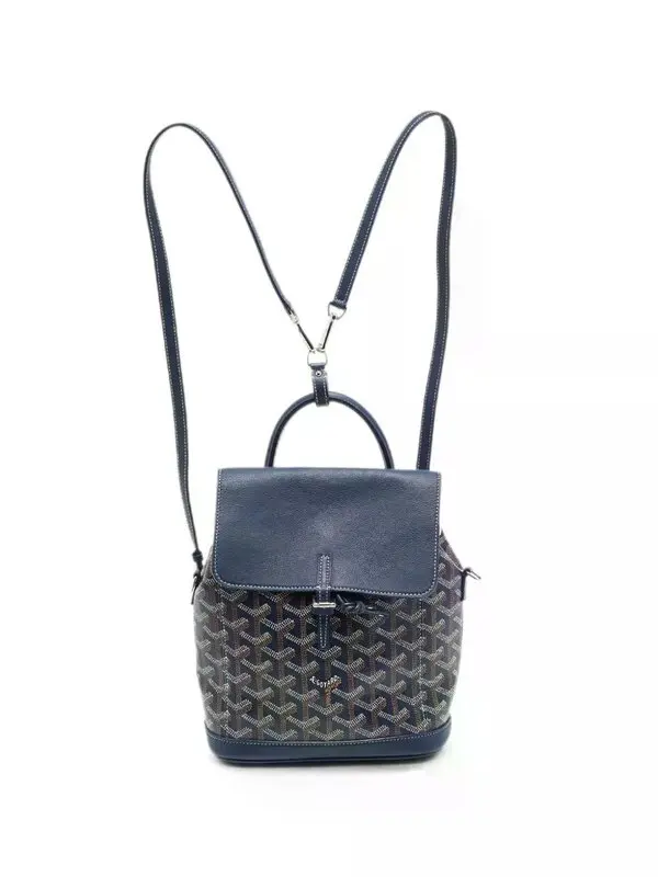 Goyard Alpin Mini Backpack - Blue