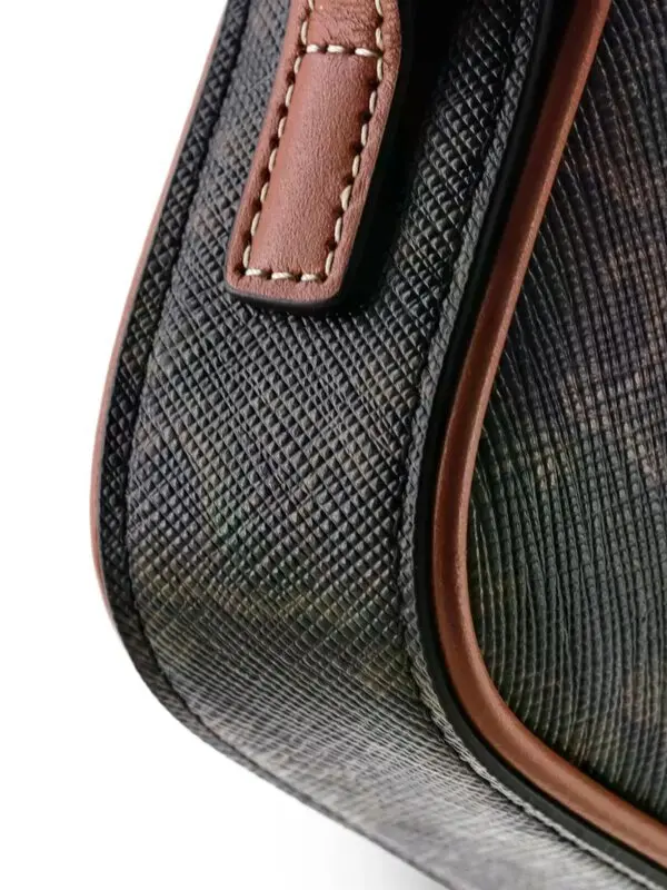 Celine Triomphe Embroidered Camera Bag
