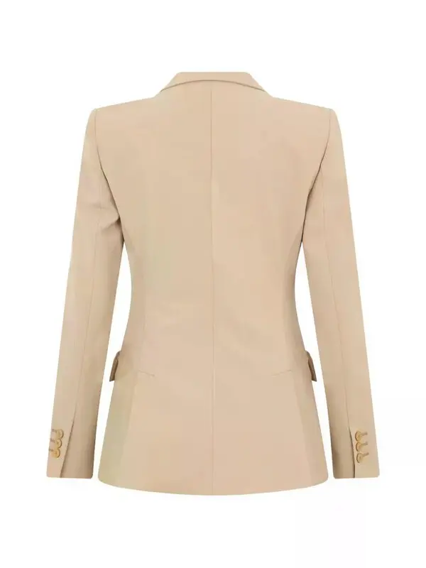 Alberta Ferretti Single-breasted Peak-lapel Blazer