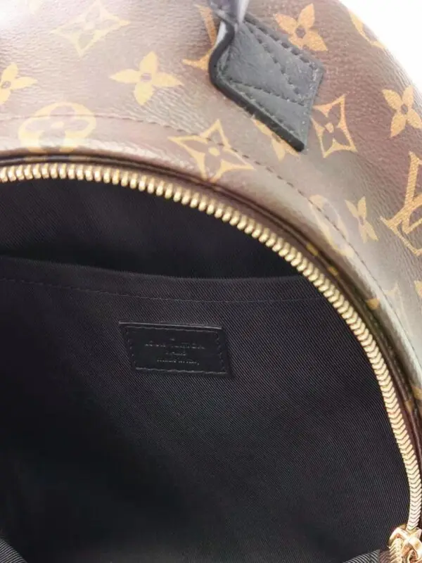 LOUIS VUITTON Palm Springs Backpack - Brown