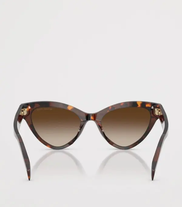 Michael Kors Roanoke Cat Eye Sunglasses - Brown