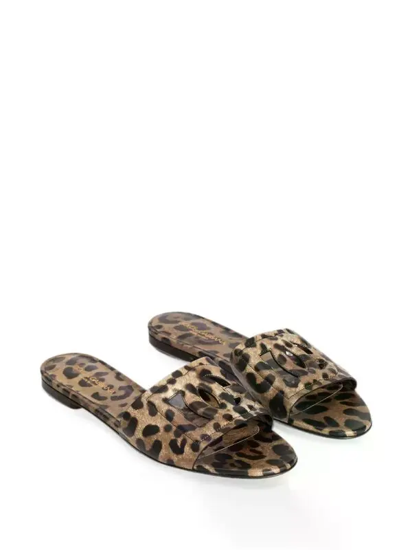 Dolce & Gabbana Leopard Print Calfskin Flat Slides - Neutrals