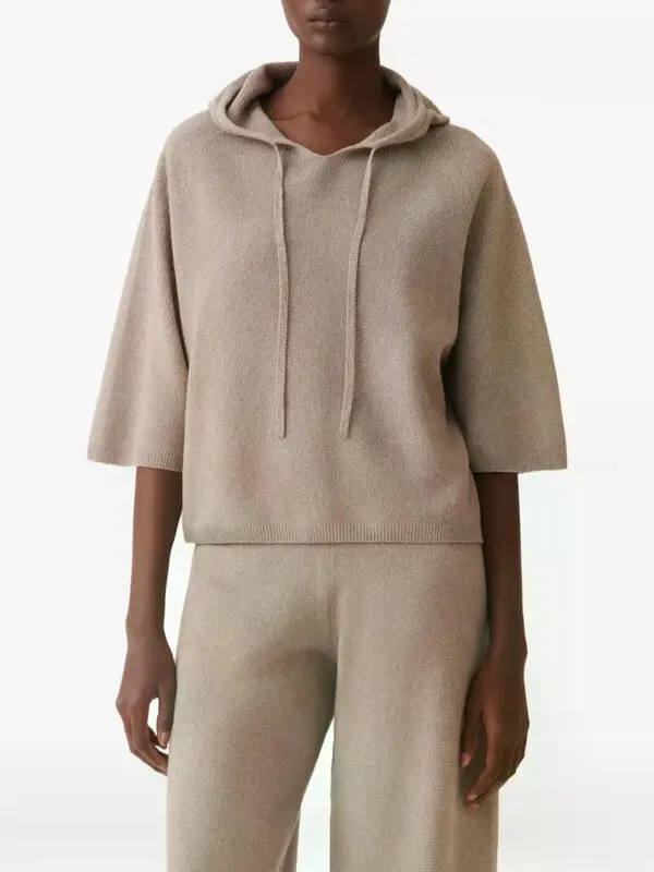 Fabiana Filippi Elbow-sleeve Hoodie With Drawstring - Brown