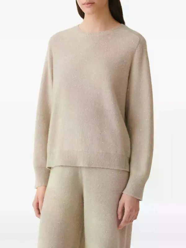 Fabiana Filippi Sequin Embellished Crew Neck Sweater