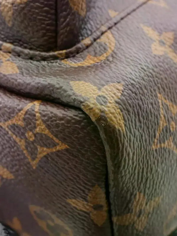 LOUIS VUITTON Palm Springs Pm Monogram Backpack