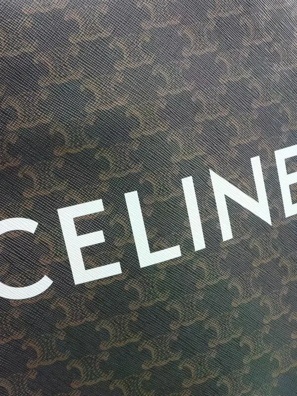 Celine Triomphe Canvas Tote Bag