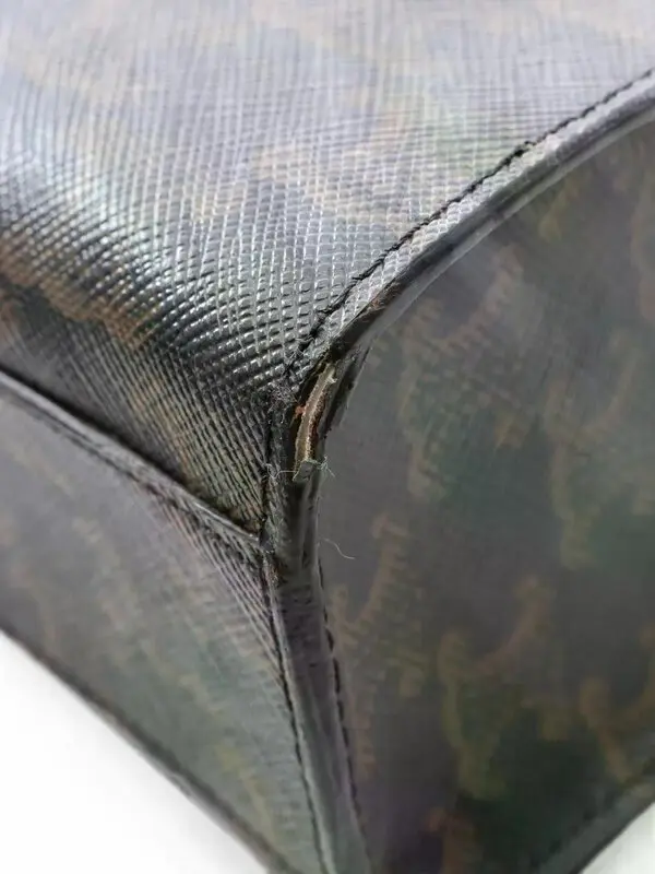 Celine Triomphe Canvas Tote Bag