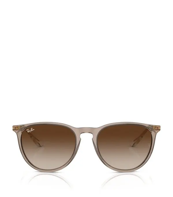 Ray-ban Erika Classic Phantos Sunglasses - Brown