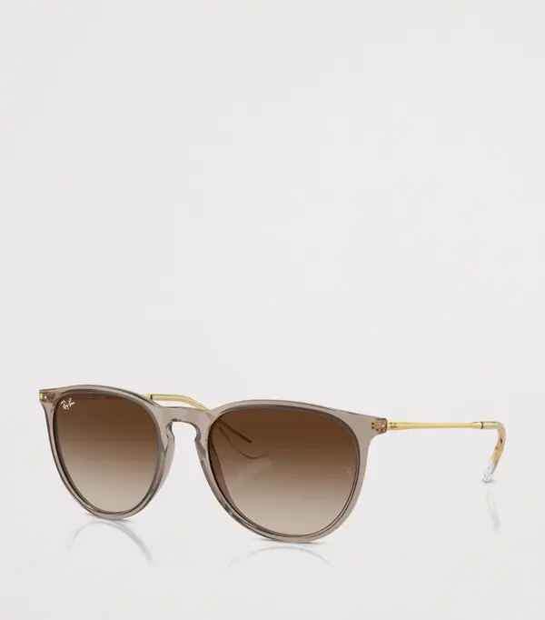 Ray-ban Erika Classic Phantos Sunglasses