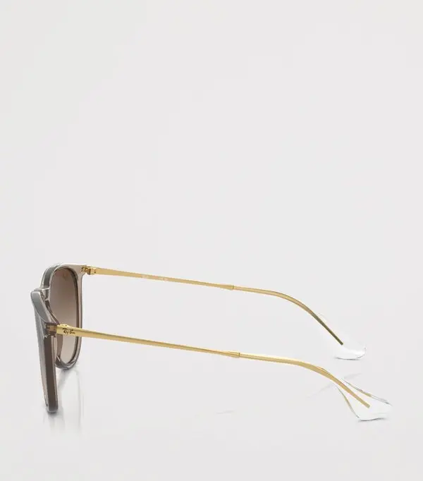 Ray-ban Erika Classic Phantos Sunglasses