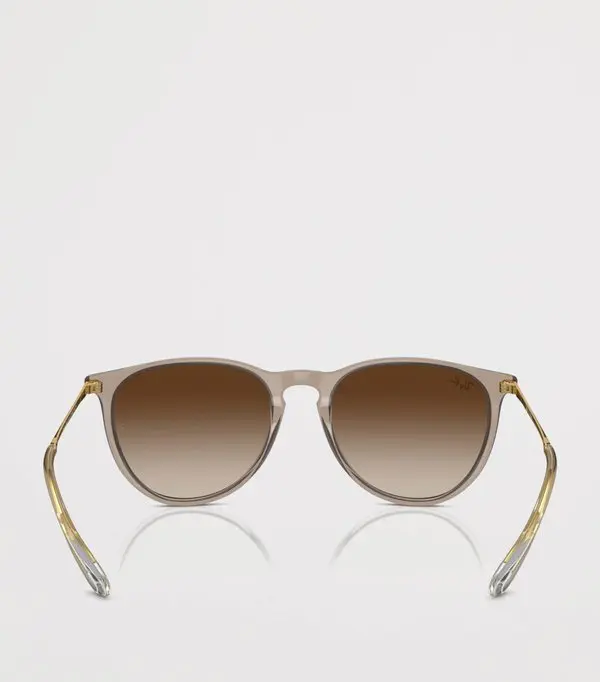 Ray-ban Erika Classic Phantos Sunglasses