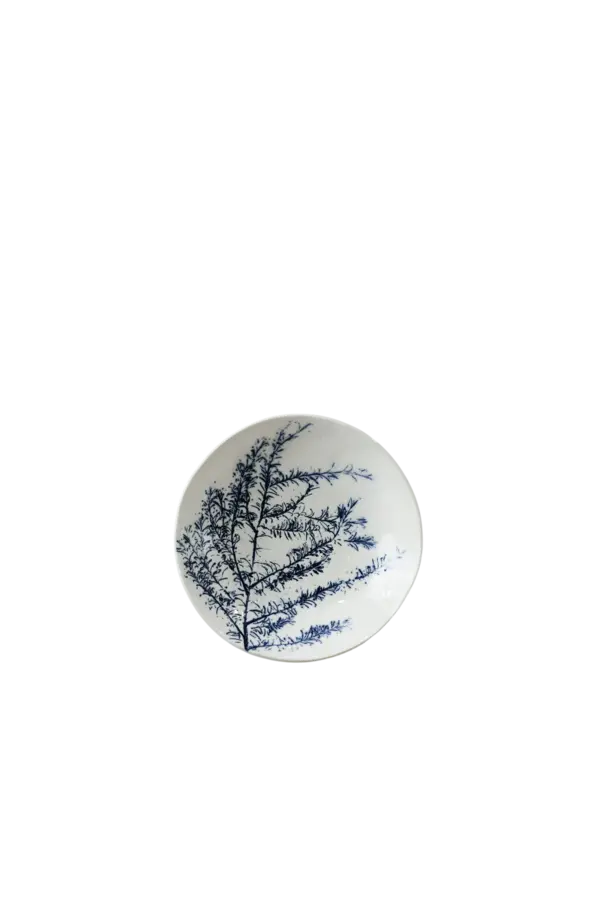 Botanical Boys Blue / White Cobalt Blue Fynbos Ceramic Plate Four - Blue/white