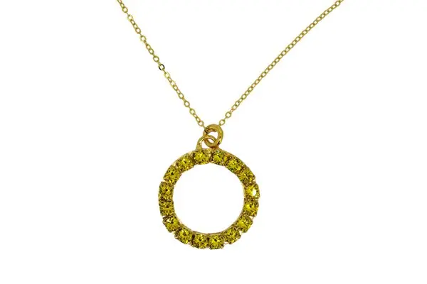 VICKISARGE The Hoop Necklace In Gold Short - Yellow