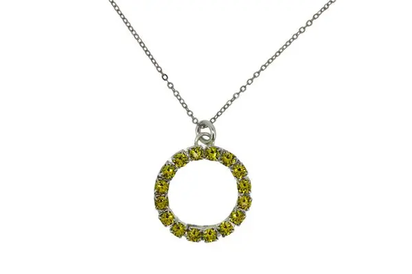 VICKISARGE The Hoop Necklace In Platinum Long - Yellow