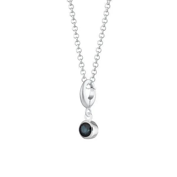 LILY CHARMED Silver / Blue Sterling Silver September Birthstone Charm Necklace Sapphire - Silver/blue