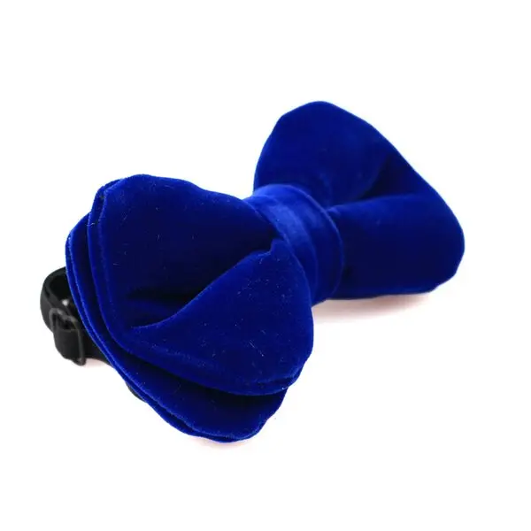 DAVID WEJ Velvet Pretied Bow Tie – Royal - Blue