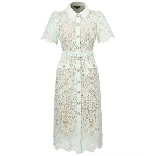SMART AND JOY Neutrals Sheer Full Lace Button Line Dress Mint - Green