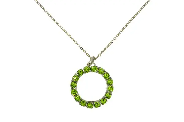 VICKISARGE The Hoop Necklace In Platinum Short - Green