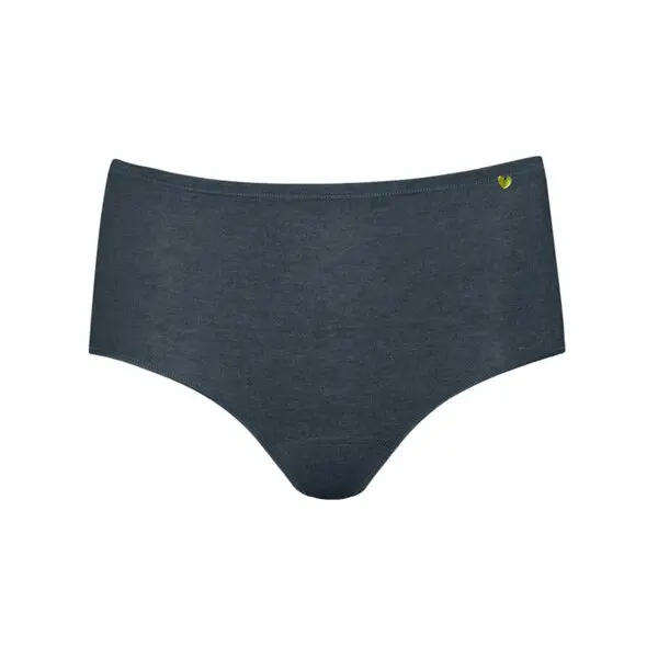 ZD ZERO DEFECTS Atenea High-waist Brief – Stylisht Fit & Comfort With Soy Fiber Color Gaphite - Grey