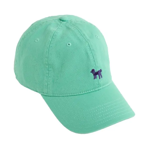 LOST PATTERN Pan Pan Baseball Cap Teal - Green