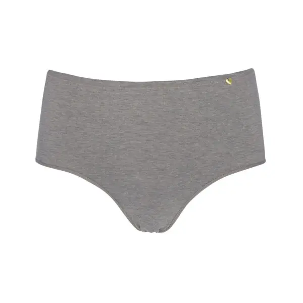 ZD ZERO DEFECTS Atenea High-waist Brief – Stylisht Fit & Comfort With Soy Fiber Color - Grey