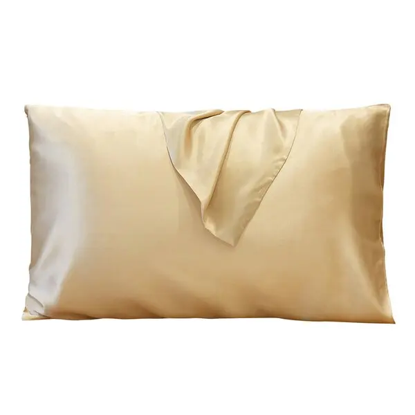 SOFT STROKES SILK Neutrals Pure Mulberry Silk Pillowcase Queen Beige - Beige/purple