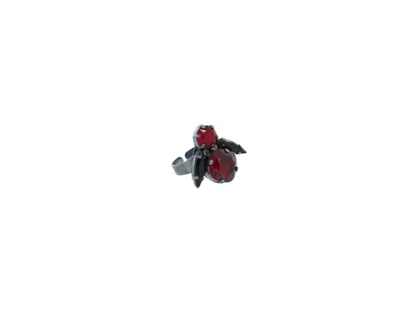 VICKISARGE The Spooky Bee Ring In Oxidised Silver - Red