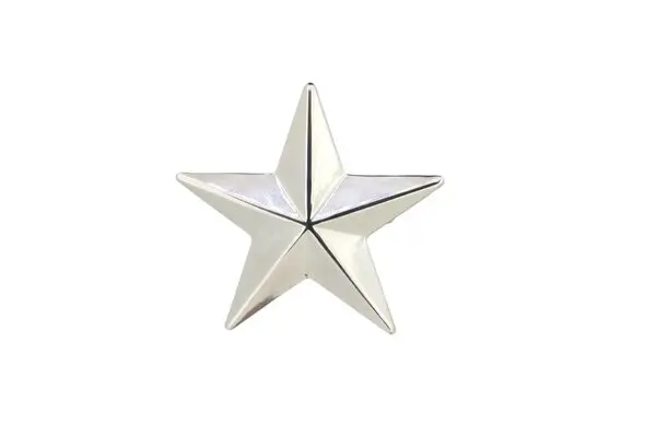 VICKISARGE Big Star Pin - Silver