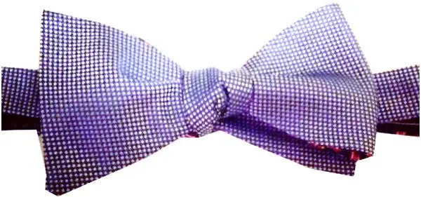 LAZYJACK PRESS The Mullet: Business In The Front, Party In The Back Reversible Bow Tie - Blue