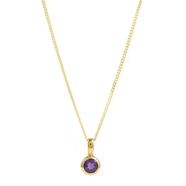 CHARLOTTE'S WEB JEWELLERY February Birthstone Charm Necklace Amethyst - Gold