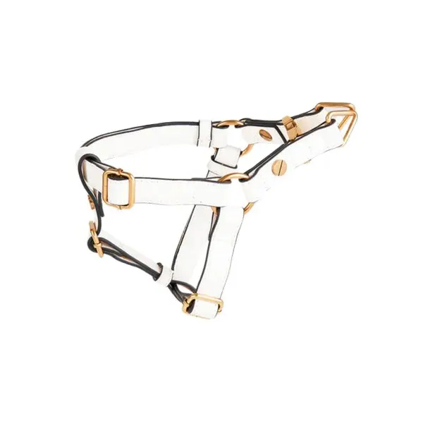 THEANIMALS White / Brown Classique Harnais Pour Chien - White/brown