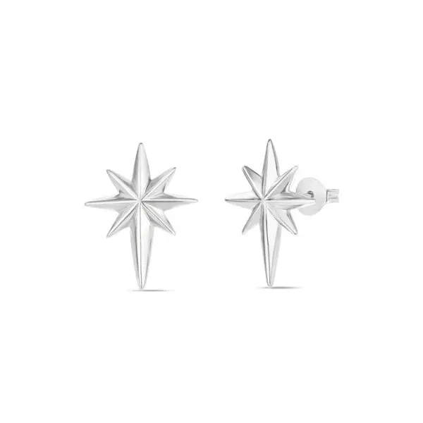 DINNY HALL Silver / White North Star Silver Stud Earrings - Silver/white