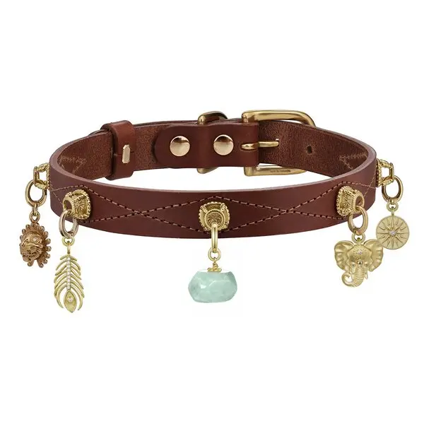 UNLEASH CPH Courage Leather Dog Collar With Interchangeable Charms - Brown/gold
