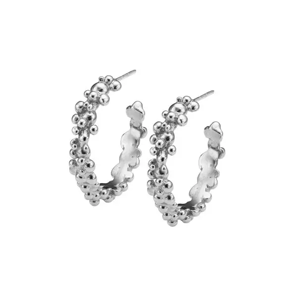 EVA REMENYI Céleste Deux Hoop Earrings - Silver