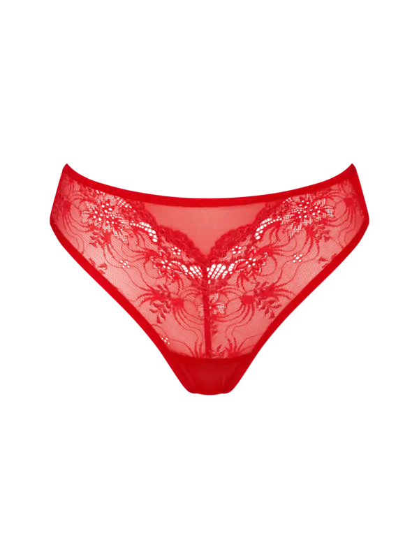 BONBON LINGERIE Griselda Full Brief - Red