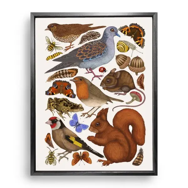 EMILY CARTER Neutrals British Wildlife Fine Art Print A3 - Brown