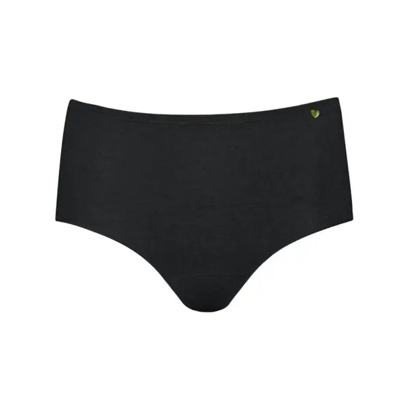 ZD ZERO DEFECTS Atenea High-waist Brief – Stylisht Fit & Comfort With Soy Fiber Color - Black