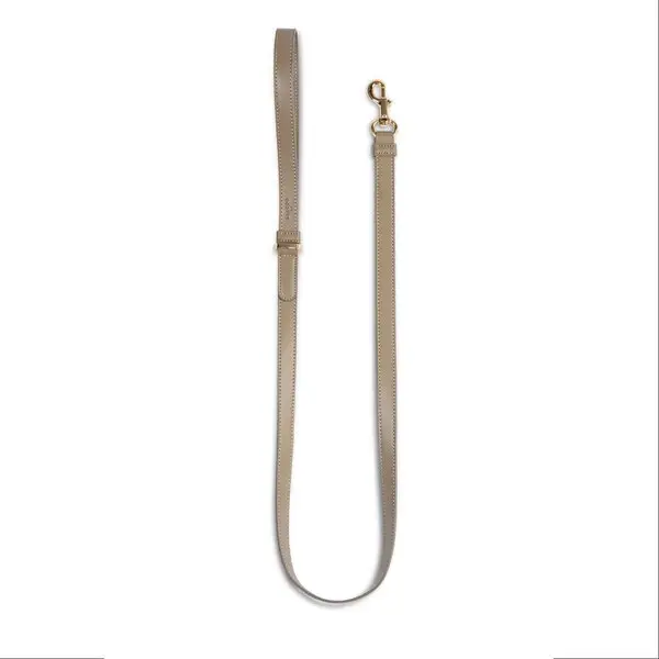 ALECOO Neutrals Classy Dog Leash Taupe Gold - Yellow