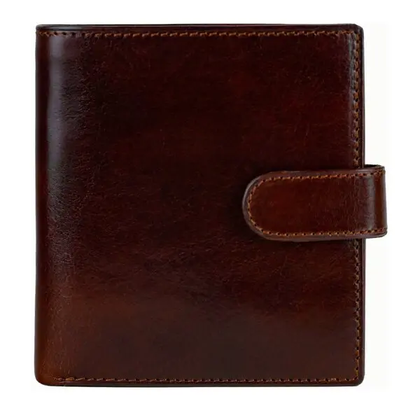 TIME RESISTANCE Leather Bifold Wallet With A Snap Closure Ironweed - Brown