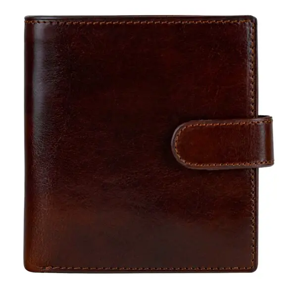 TIME RESISTANCE Leather Bifold Wallet With A Snap Closure Ironweed - Brown