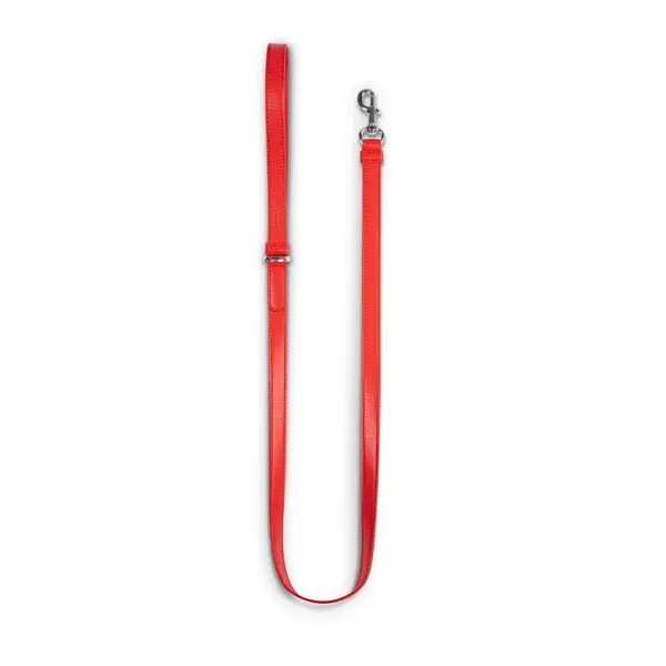 ALECOO Classy Dog Leash Silver - Red