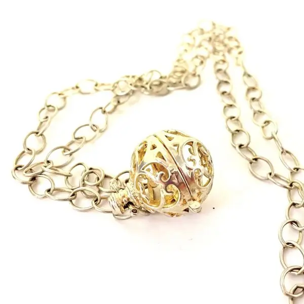 AMY DELSON JEWELRY Gracie Sterling Gem Locket Necklace - Silver
