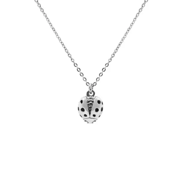 LEE RENEE Ladybird Necklace – -wings Open - Silver