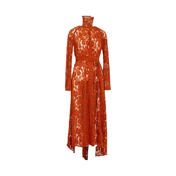 ARTISTA Neutrals Lovers Lace Maxi Dress - Brown